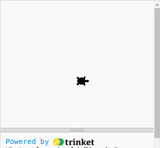 Custom Turtles Trinket Remix