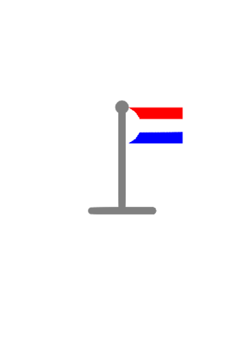 flag project