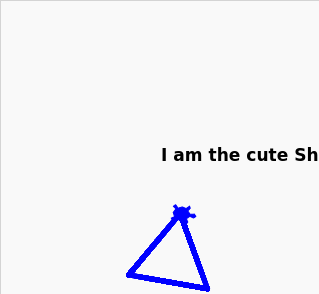 Phython Turtle Shapes