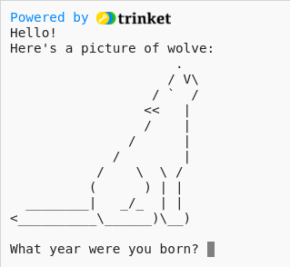 New Python Trinket Remix